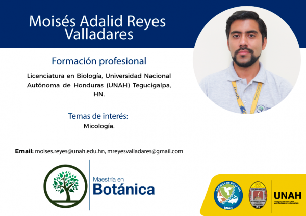 Perfiles Estudiantes Maestría